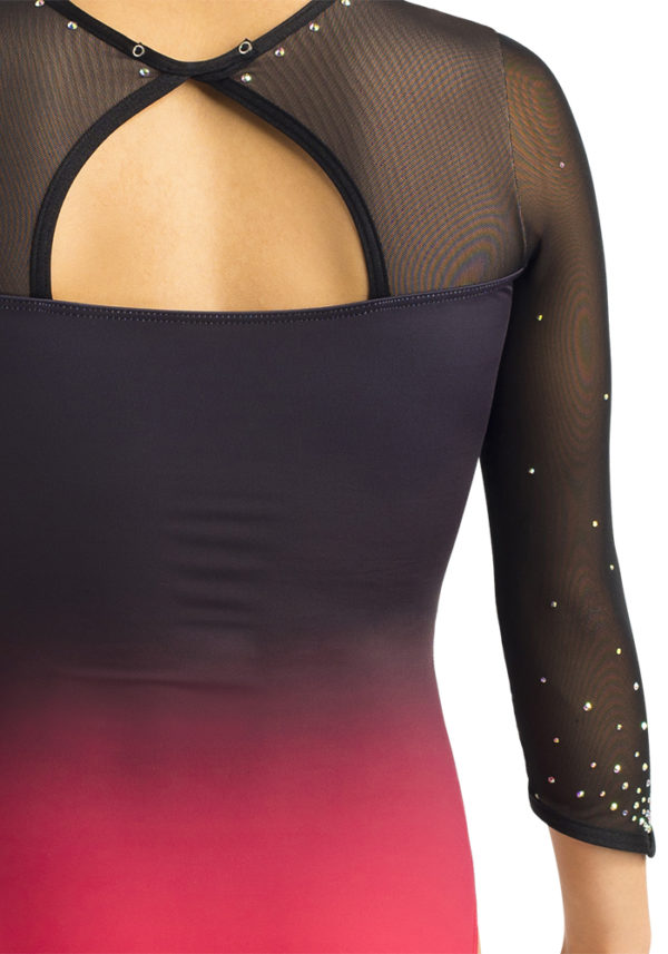 Turnanzug SILVANA/1 mit Farbverlauf - Gymnastics leotards, unitards and ...